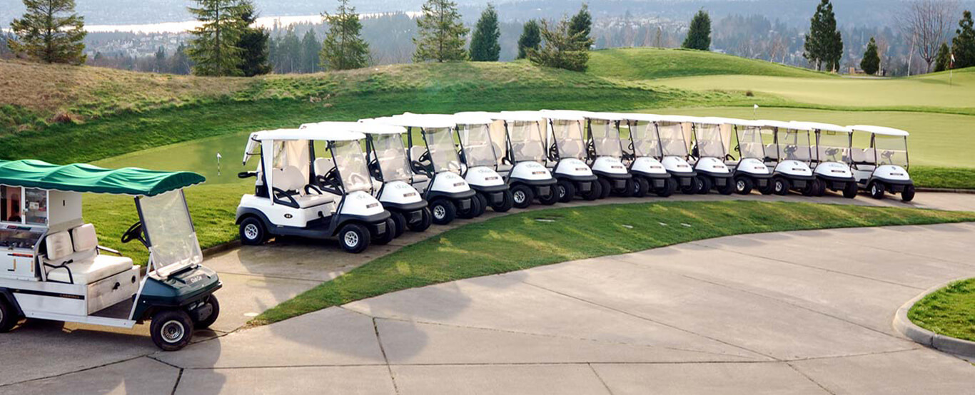 Rentals | Multi-Passenger, Golf Carts, and Utility Vehicles ...